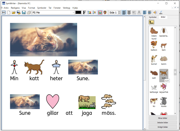 SymWriter 2 - Symbolbruket
